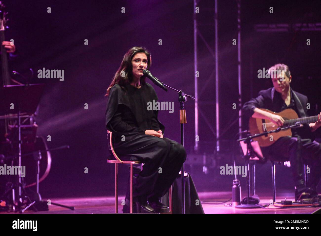 Rome, Italy. 28th Dec, 2022. Elisa “An Intimate Night” Tour 22 at the ...