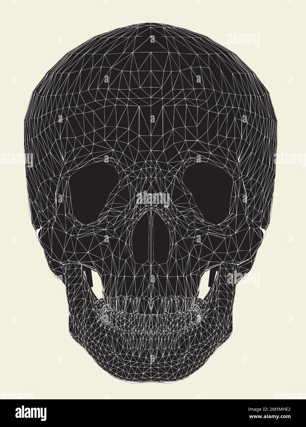 Human Skull Vector. Illustration On White Background. A vector ...