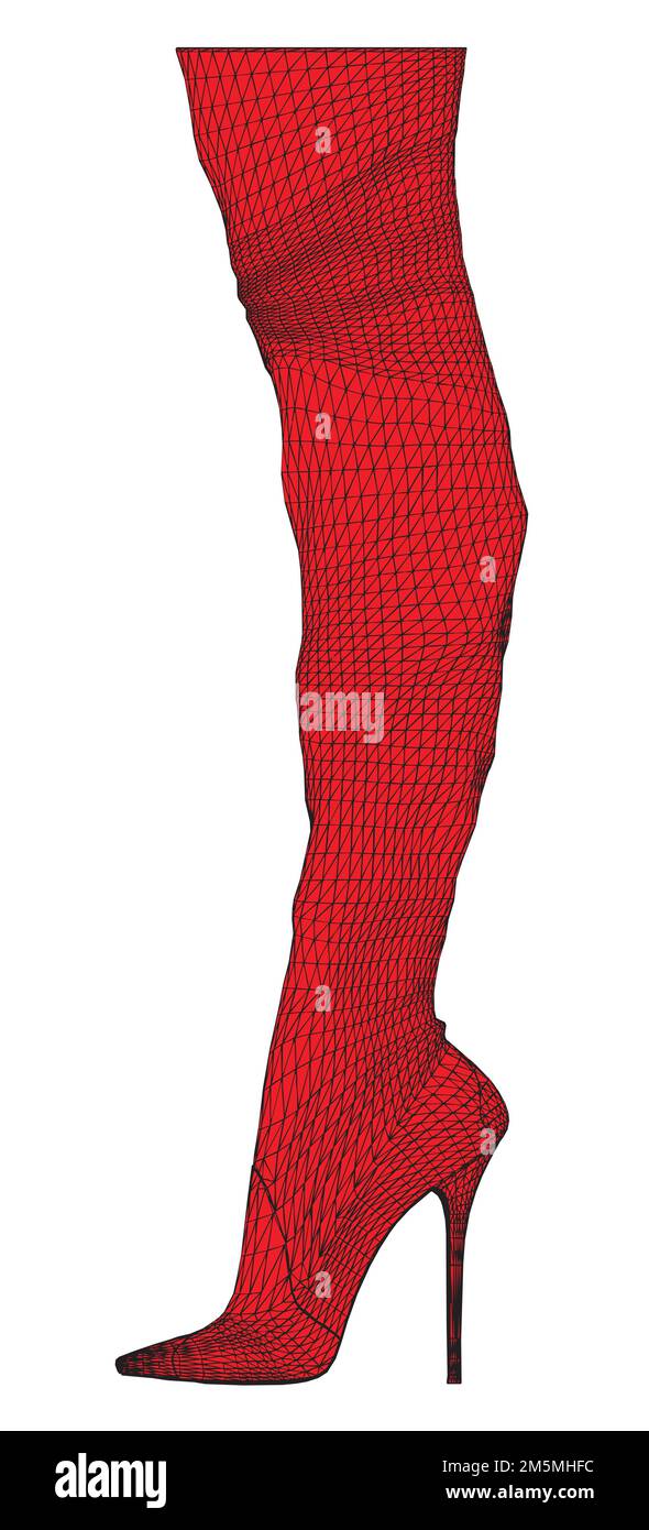 Women's Long Boots Vector. Illustration On White Background. A vector ...