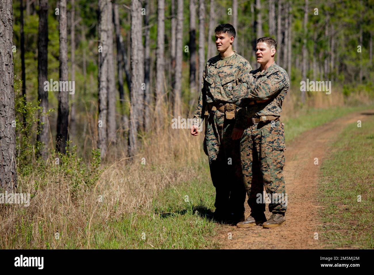 U.S. Marine Corps Sgt Harvey Beck, right, a machine gunner, and Cpl ...