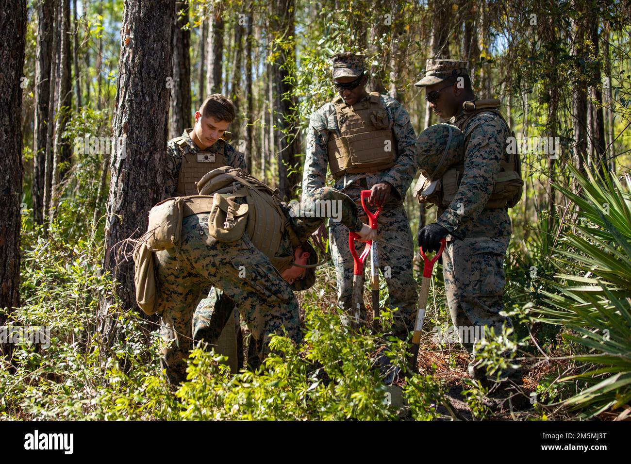 U.S. Marines with Combat Logistics Regiment 37, 3rd Marine Logistics ...
