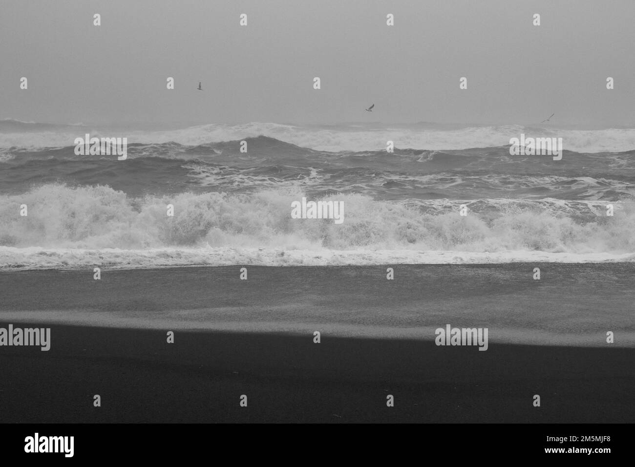 Rough ocean and empty coast monochrome landscape photo Stock Photo - Alamy