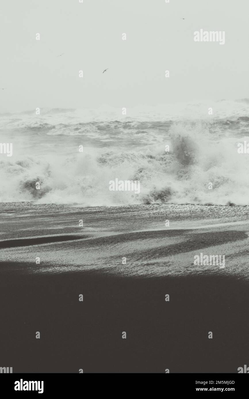 Amazing waves on beach monochrome landscape photo Stock Photo - Alamy
