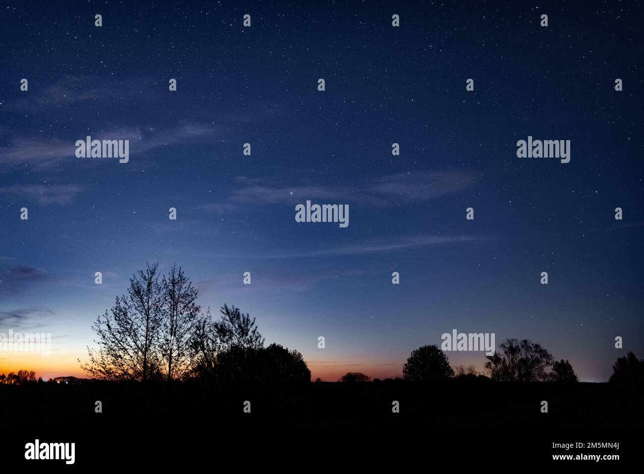 A silhouette view of the leafless trees and bushes with stars in the blue dusk sky at sunset ...