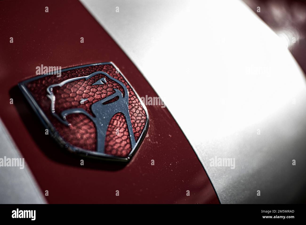 The sign of Viper Dodge Car , close-up Stock Photo - Alamy