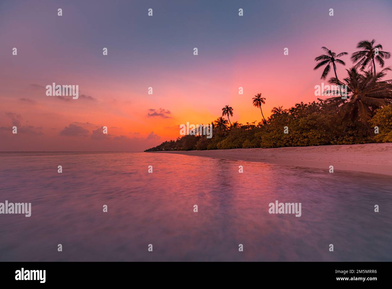 Tranquil summer vacation or holiday landscape. Tropical island sunset beach view palm tree ...