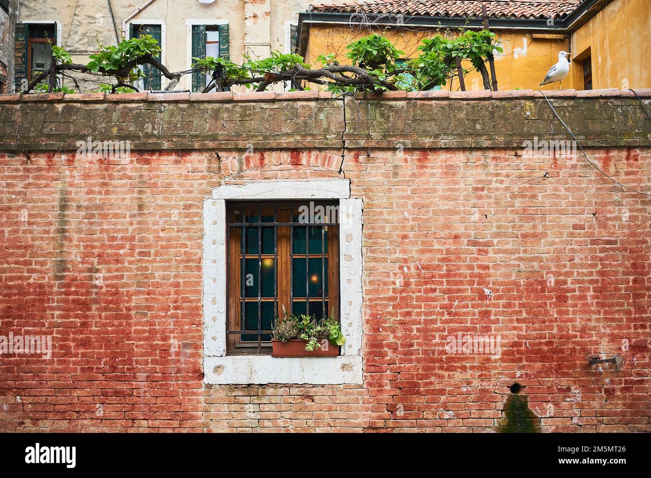 View of the red brick facade with white window in Venice, Italy, Veneto ...