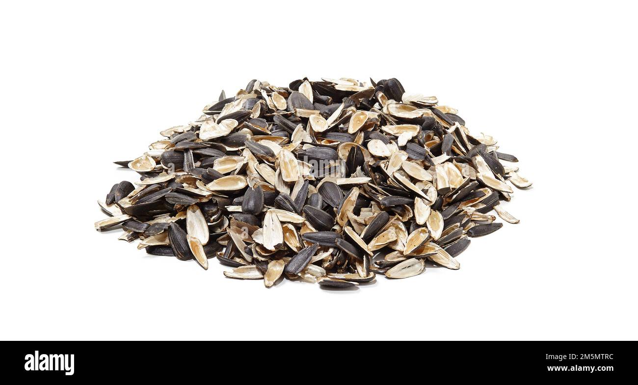 Sunflower shells isolated on white background. Empty husk of sunflower ...