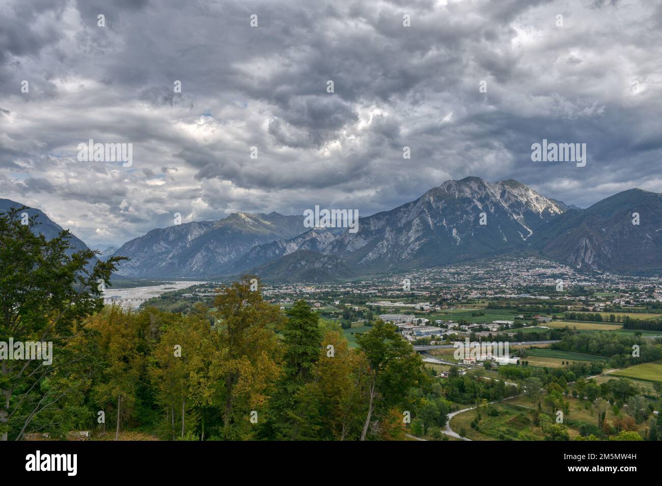 Entstehungsstadium hi-res stock photography and images - Alamy