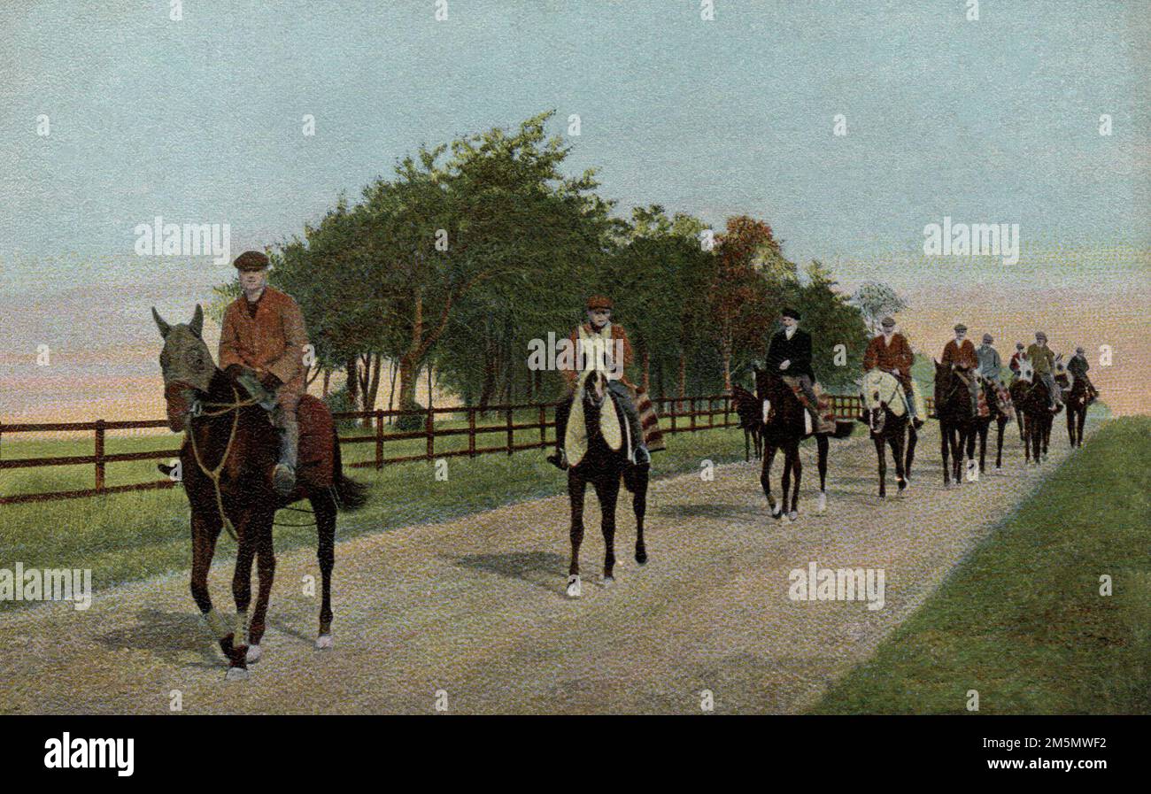 After morning gallop hi-res stock photography and images - Alamy