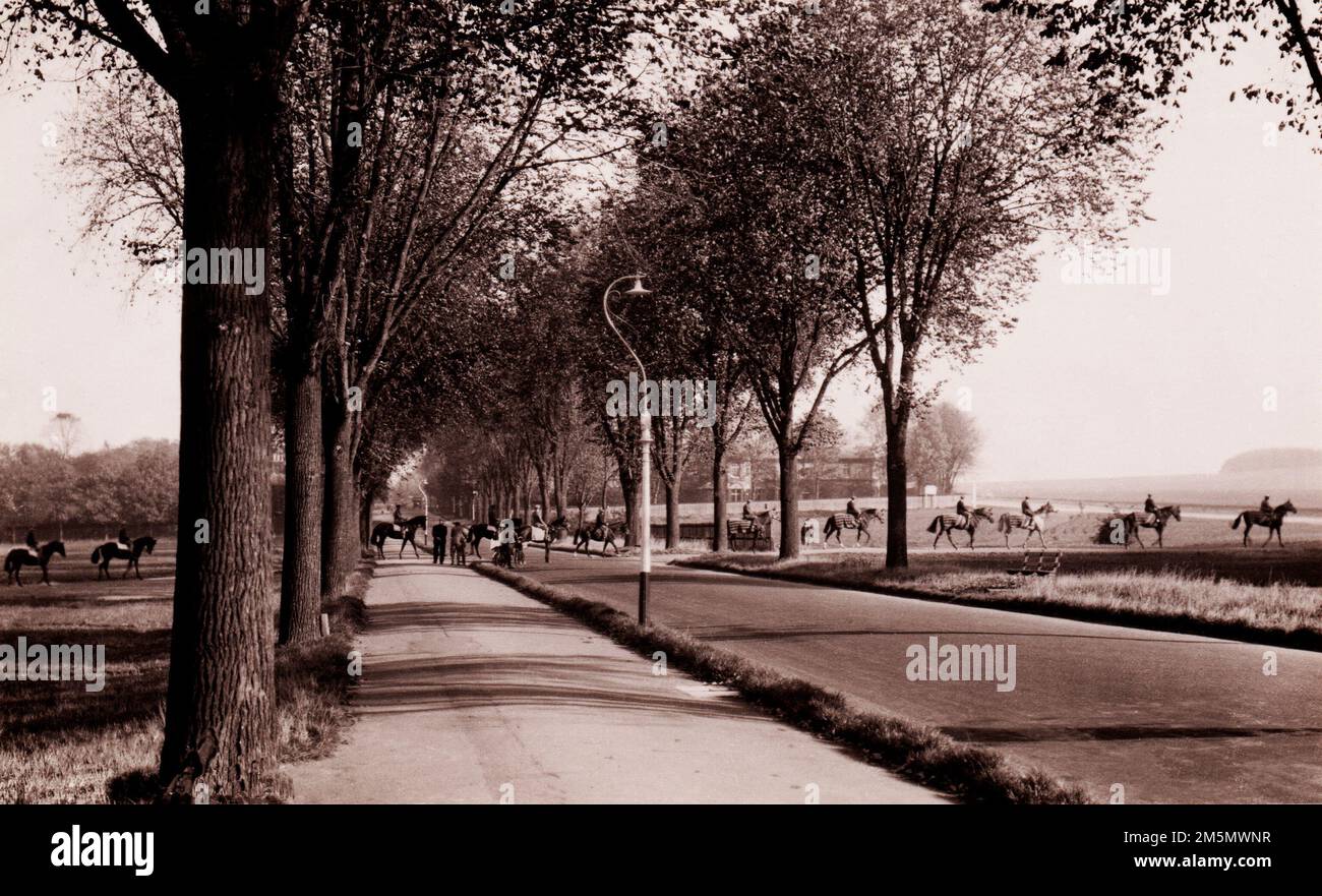 Bury road newmarket Stock Photo - Alamy