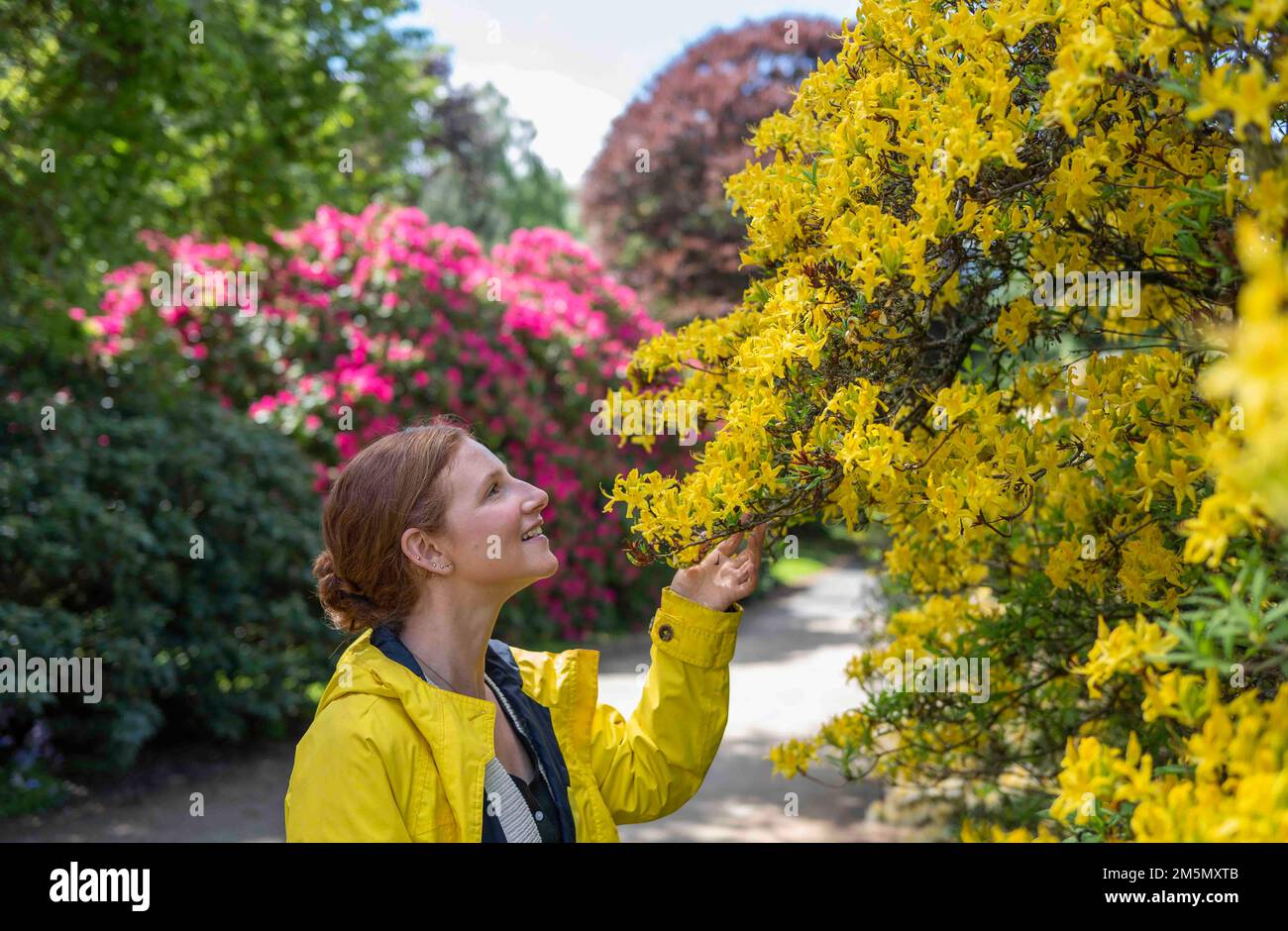 Abbotsford house 2022 hi-res stock photography and images - Alamy