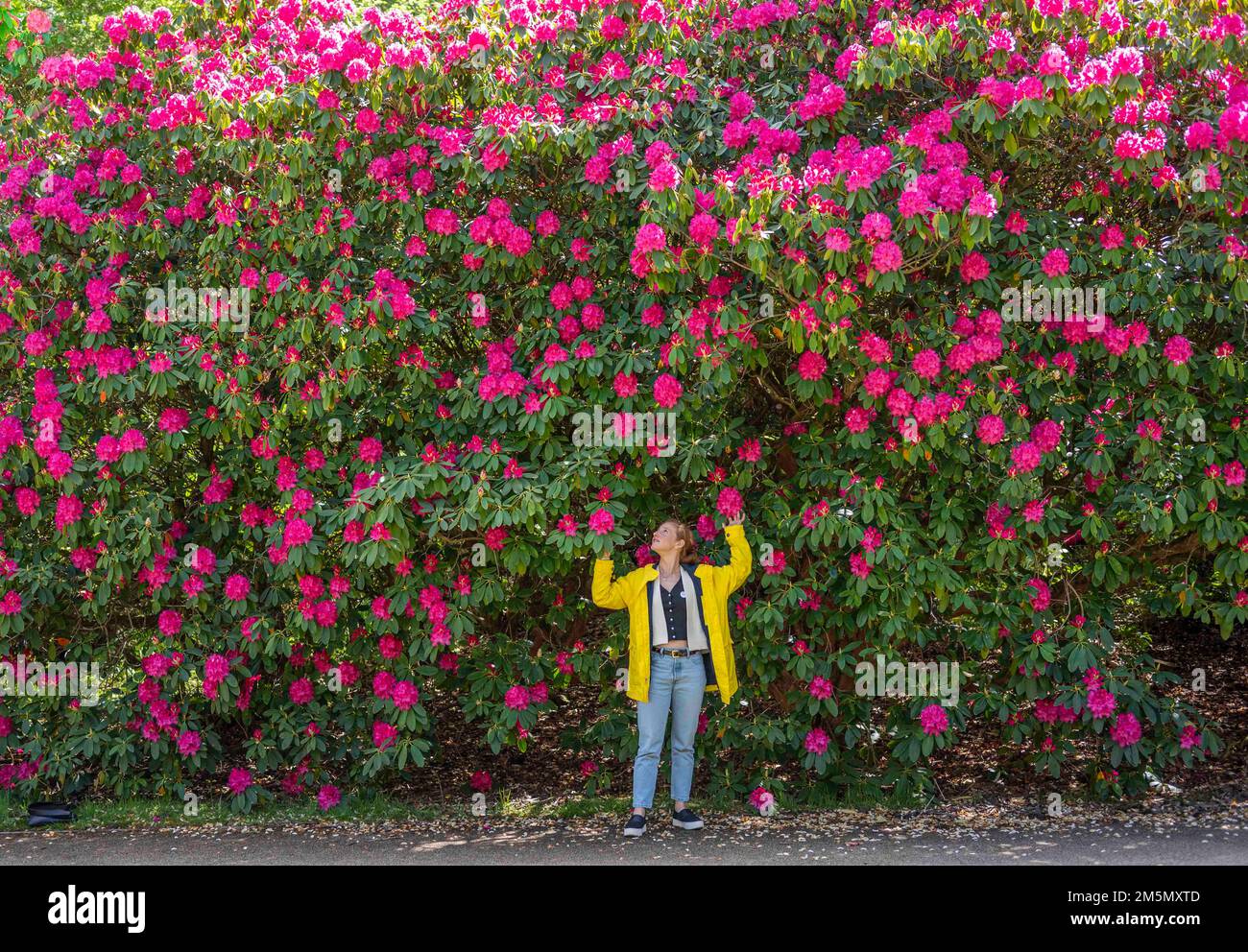 Abbotsford house 2022 hi-res stock photography and images - Alamy