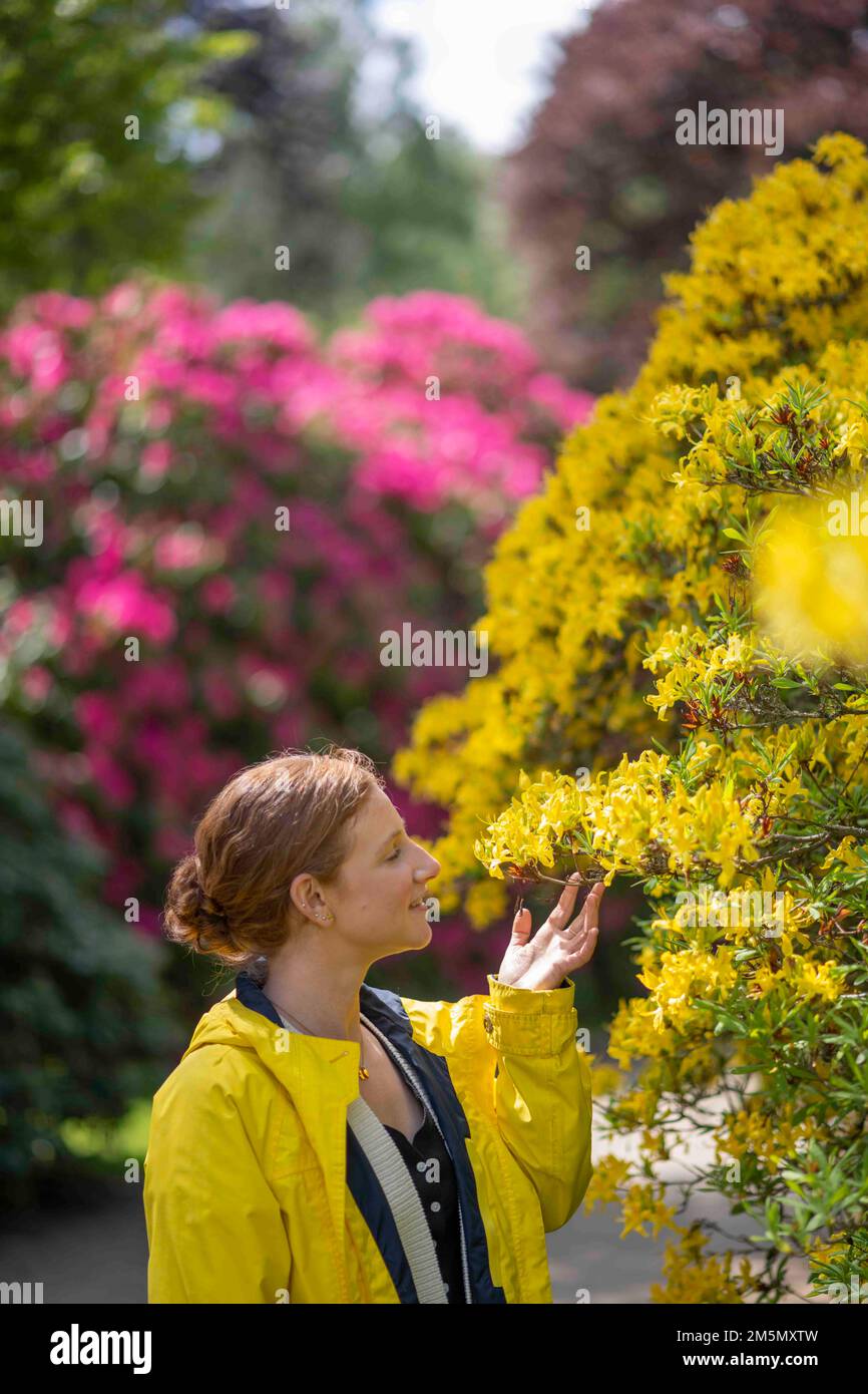 19th May 2022. Abbotsford, the Home of Sir Walter Scott, near Melrose ...