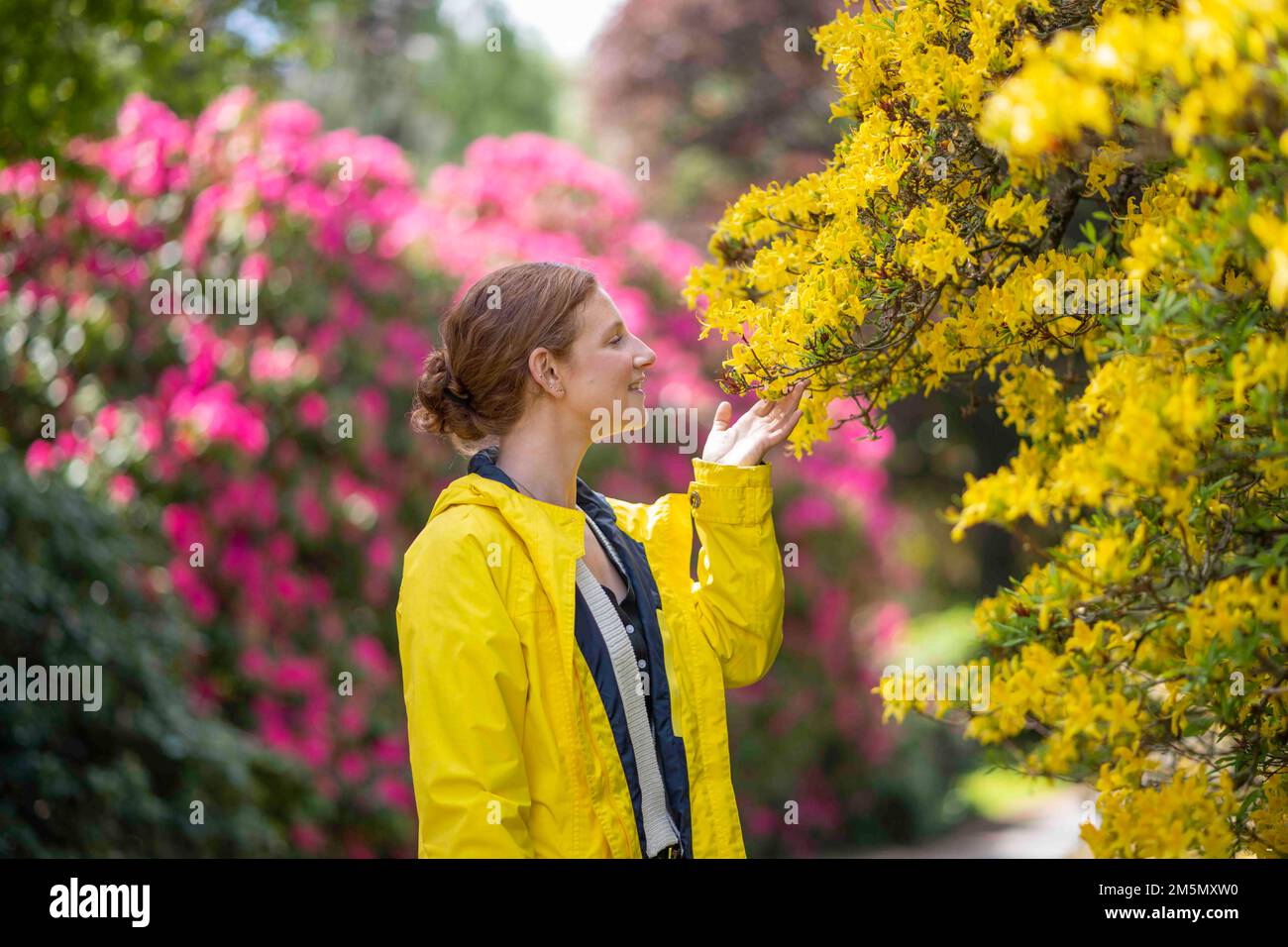 Abbotsford house 2022 hi-res stock photography and images - Alamy