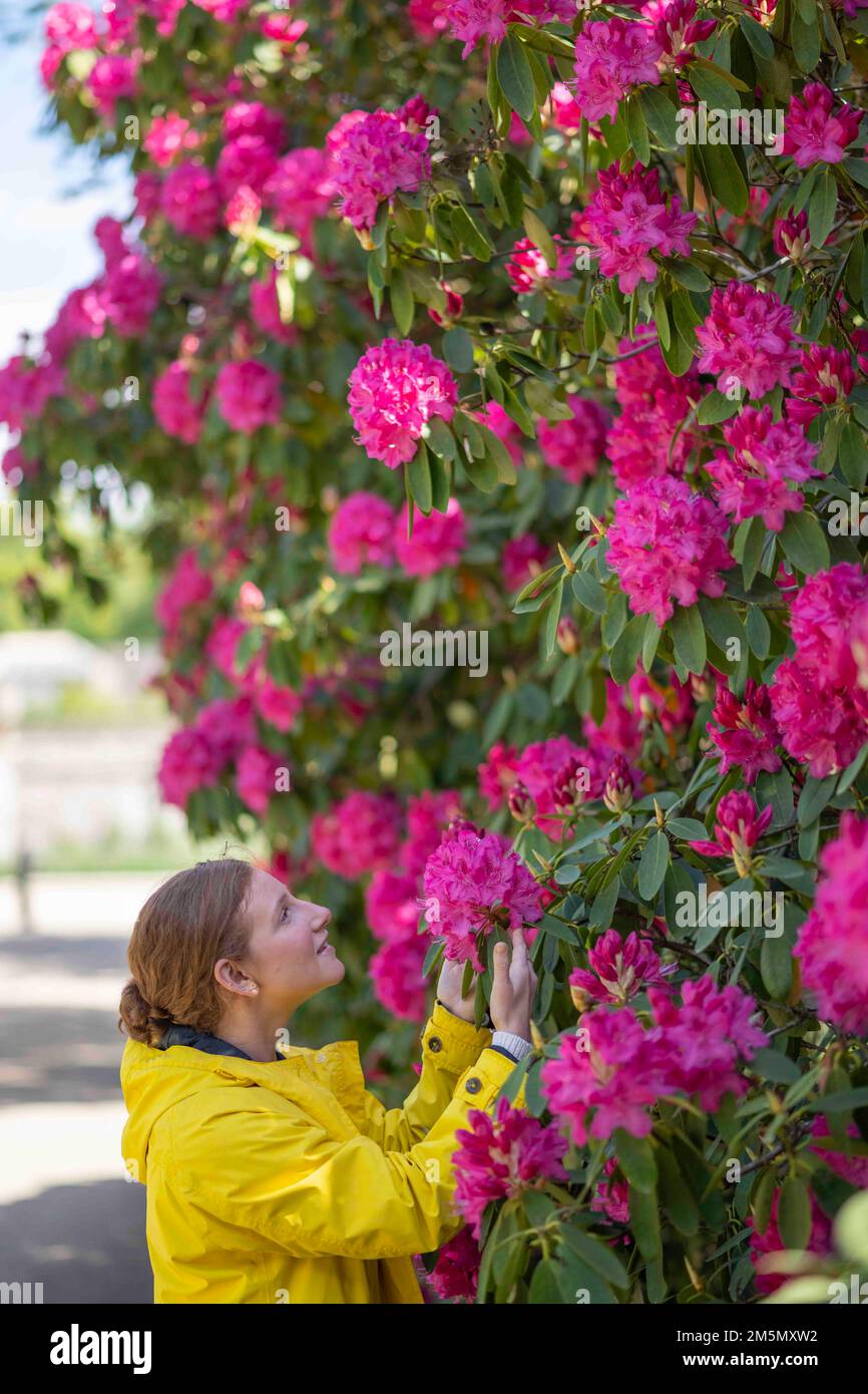 Abbotsford house 2022 hi-res stock photography and images - Alamy