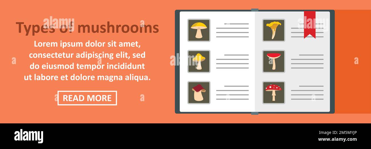 Types of mushrooms banner horizontal concept. Flat illustration of ...