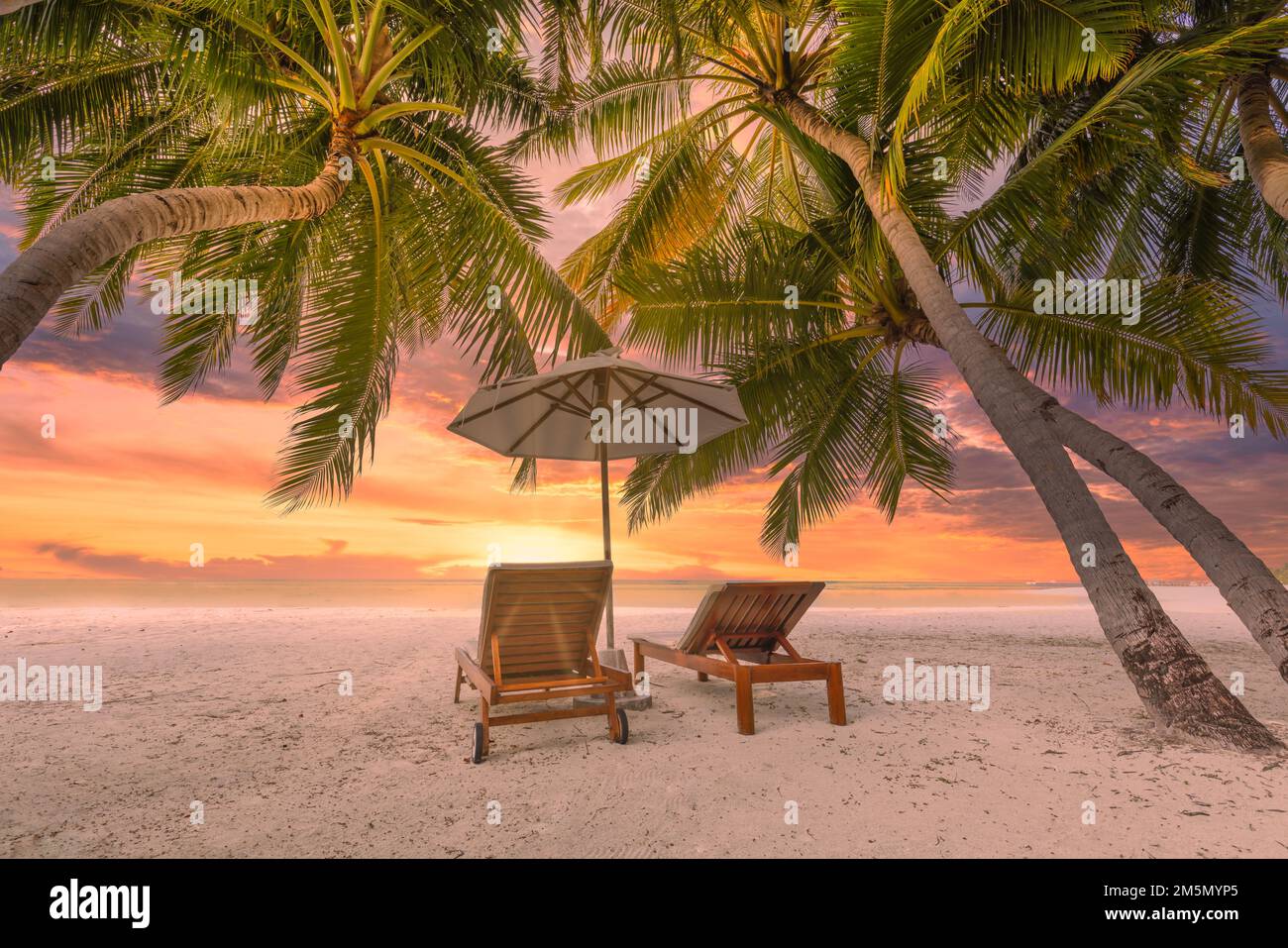 Tranquil tropical sunset scenery, two sun beds umbrella under palm tree ...