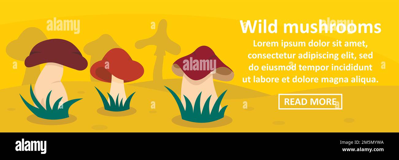 Wild mushrooms banner horizontal concept. Flat illustration of wild ...