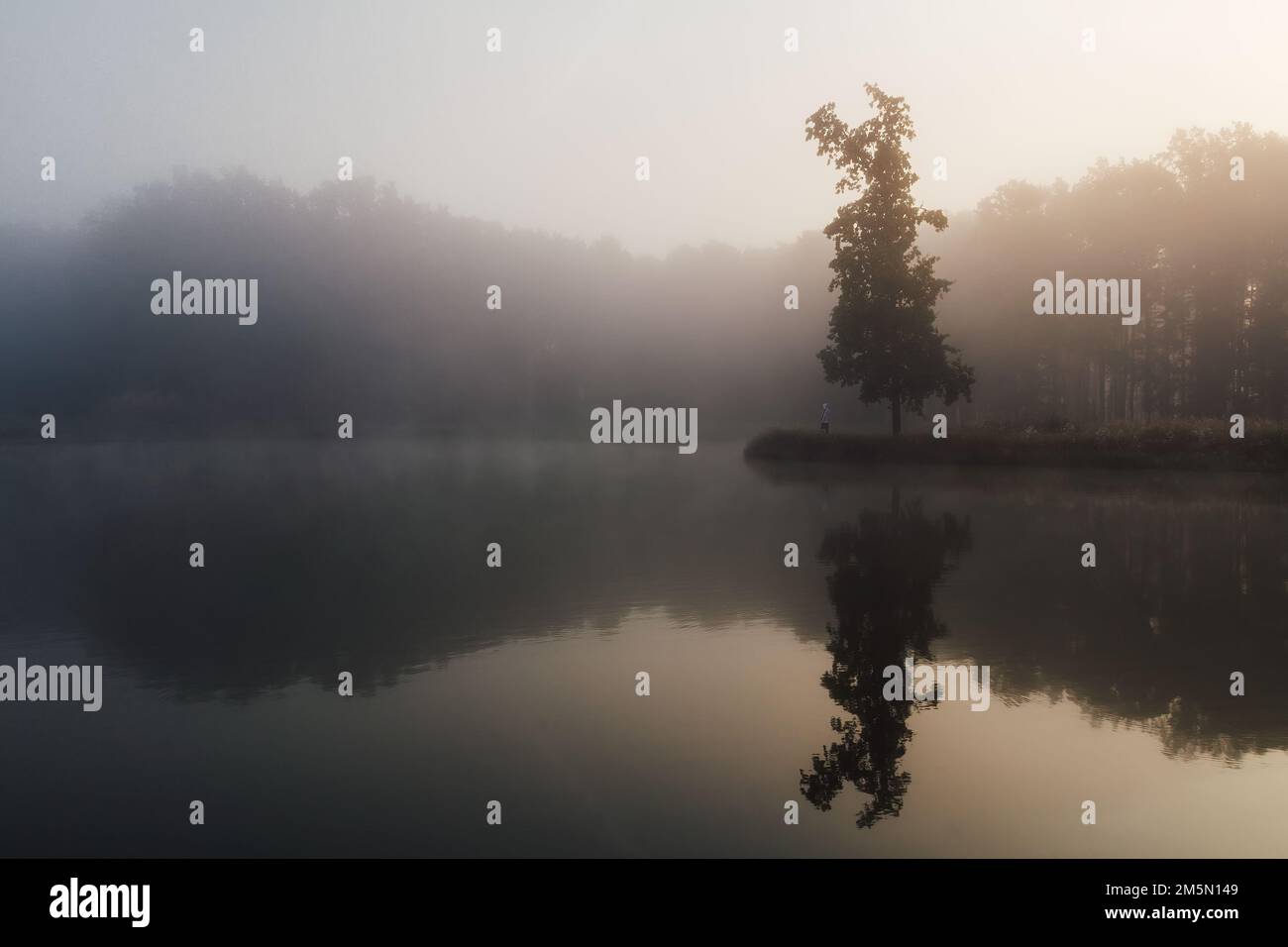 Young man in white hoodie standing on grass headland with lonely tree ...
