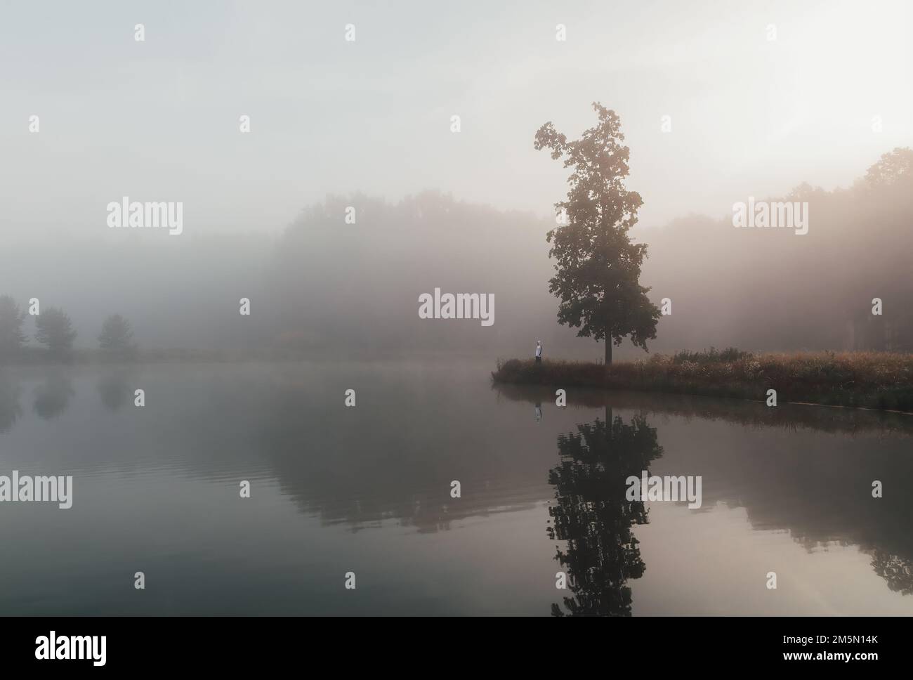 Young man in white hoodie standing on grass headland with lonely tree ...