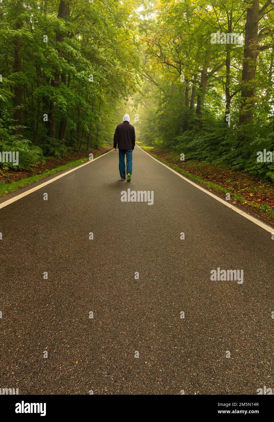 Young man walking in green forest on asphalt road at misty fog morning ...