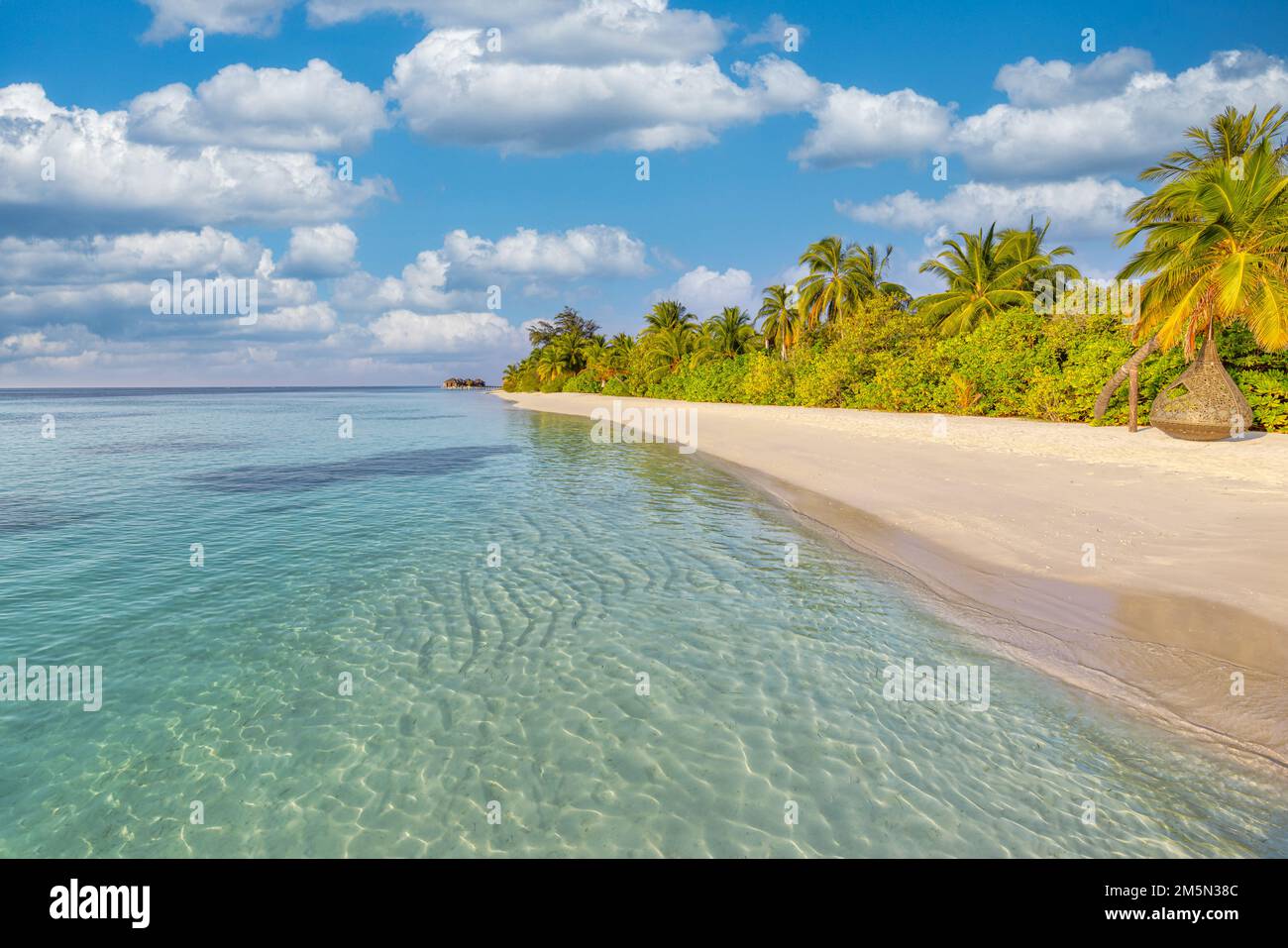 Tropical paradise beach with white sand and coco palms travel tourism ...