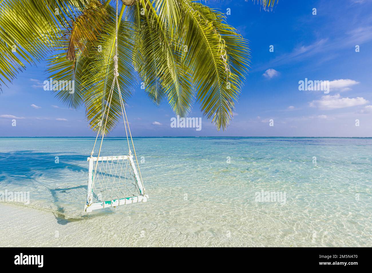 Tropical beach background. Summer landscape, swing on palm tree over ...