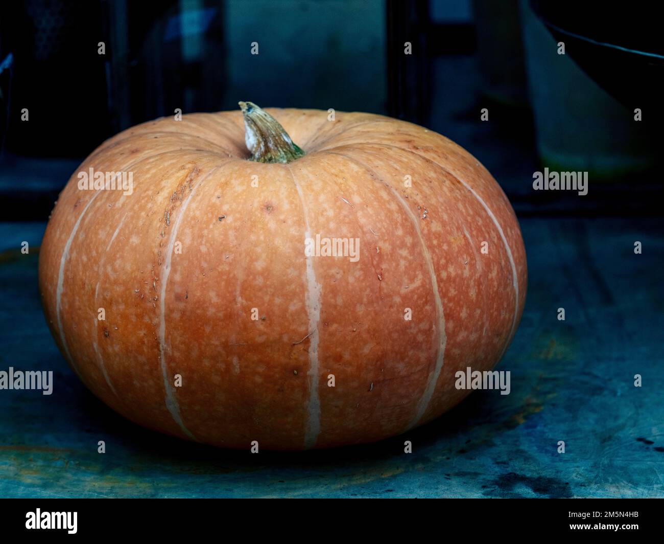 A closeup of harvested pumpkin fruit Stock Photo - Alamy