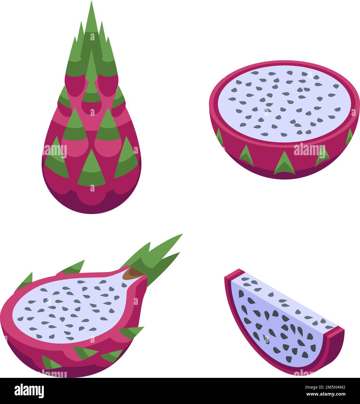 Pitaya icons set. Isometric set of pitaya vector icons for web design ...
