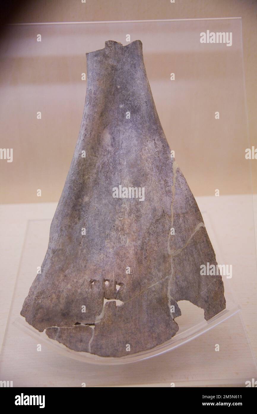 Cultural Relics and Treasure in Shanghai Museum Stock Photo - Alamy