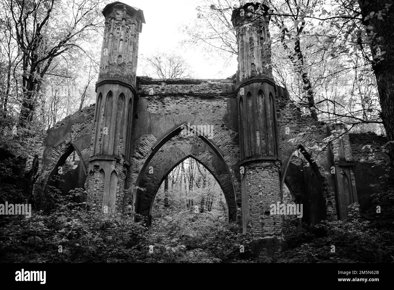 Old abandoned forest bridge Black and White Stock Photos & Images - Alamy