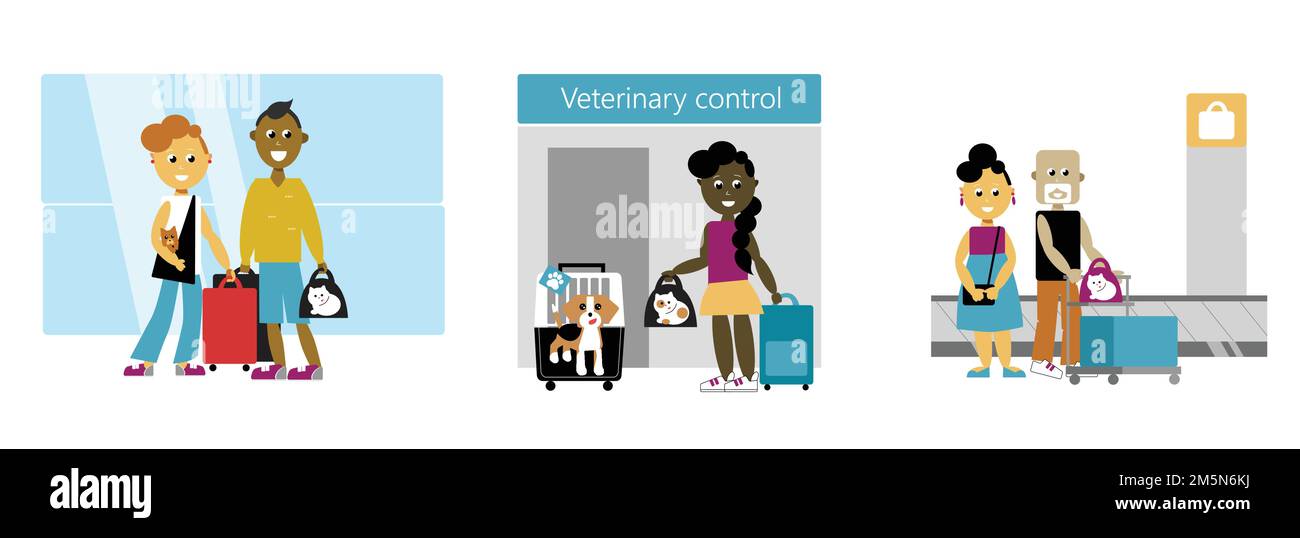 The white cat is sitting in its carrier bag. Kitty lovely and funny ...