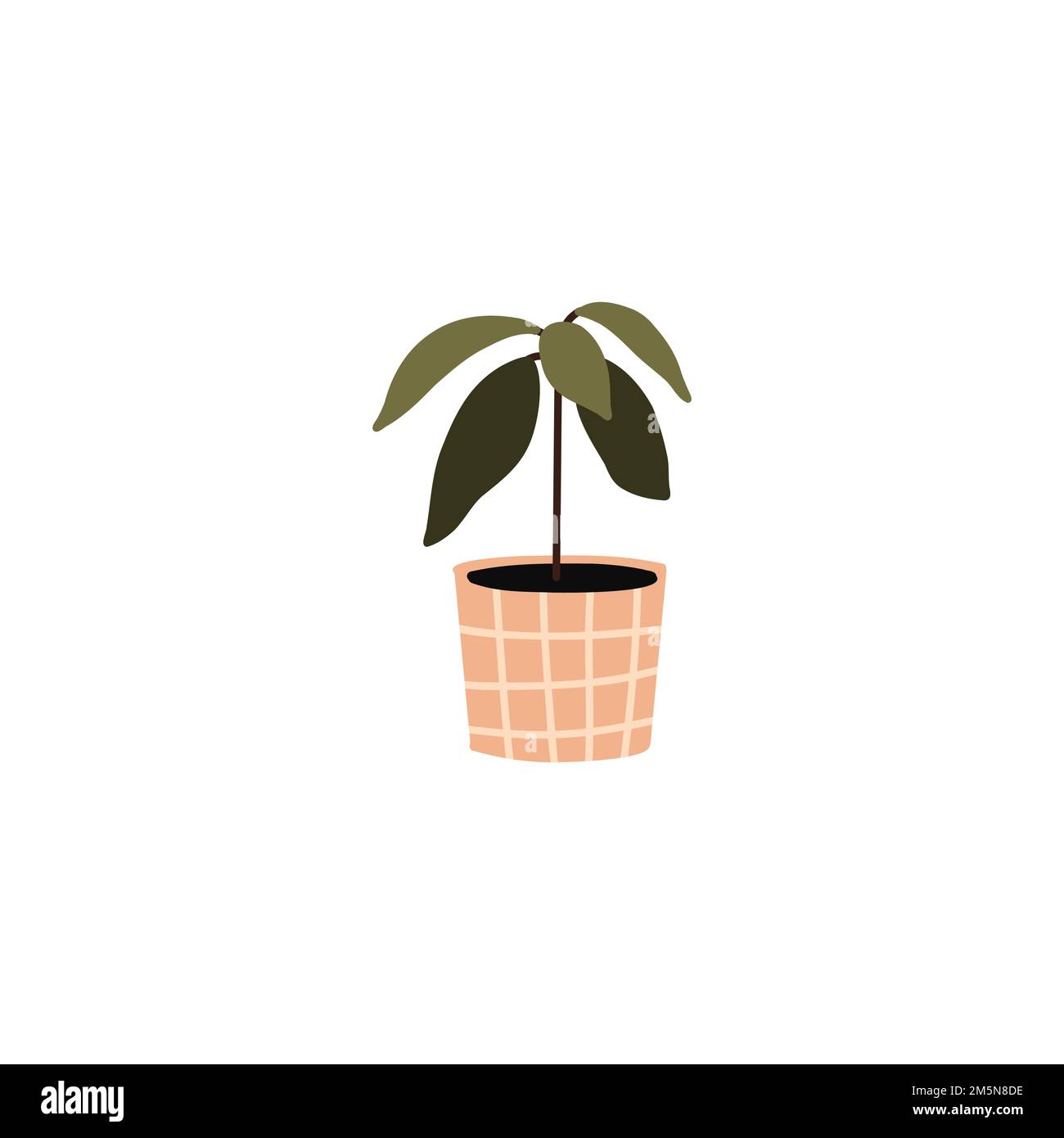 Potted plant. Houseplants in flower pot. Vector bundle of trendy plants ...