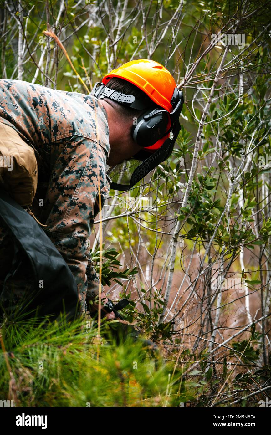 U.S. Marine Corps Cpl. Hunter Cross, cut team leader with 2d Combat ...