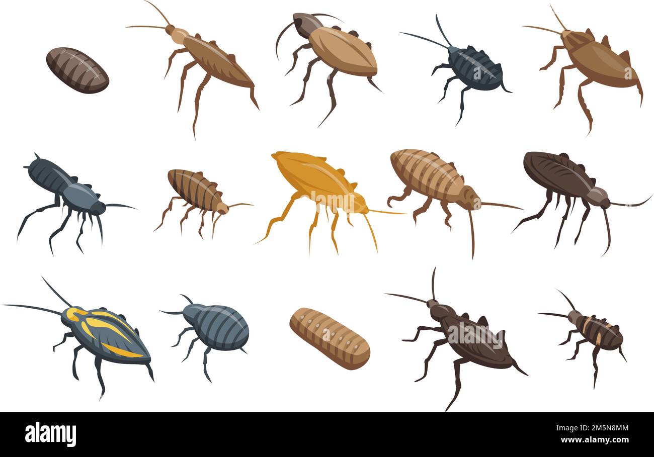 Cockroach icons set. Isometric set of cockroach vector icons for web ... Cockroach icons set. Isometric set of cockroach vector icons for web ...
