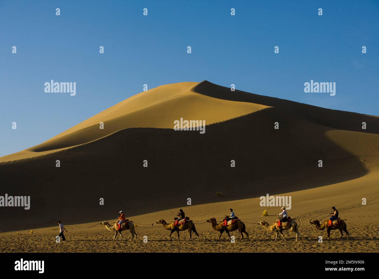 A Group of People Riding Camels in the Desert Stock Photo - Alamy