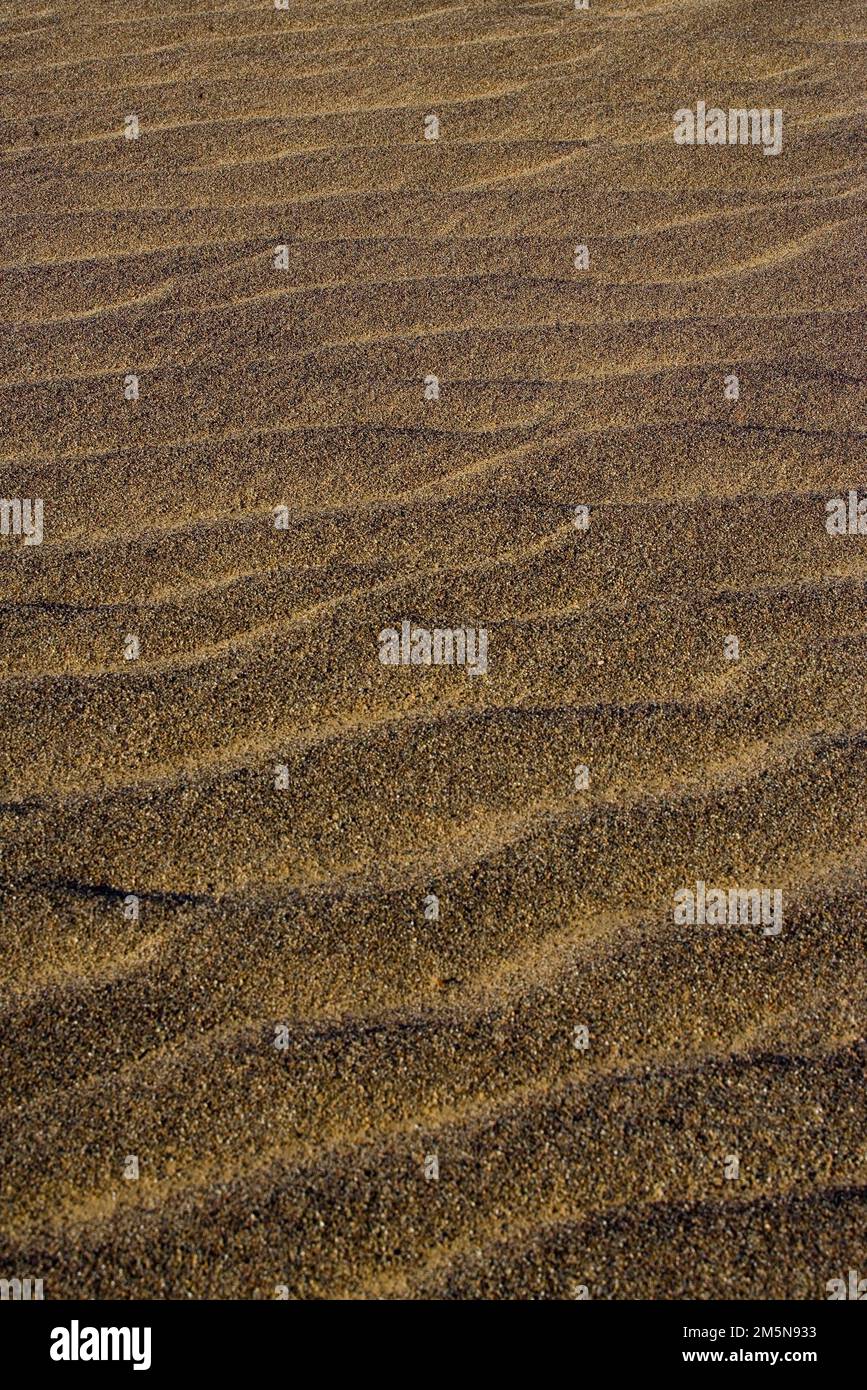 The Yadan landform in Lop Nur,Xinjiang Stock Photo - Alamy