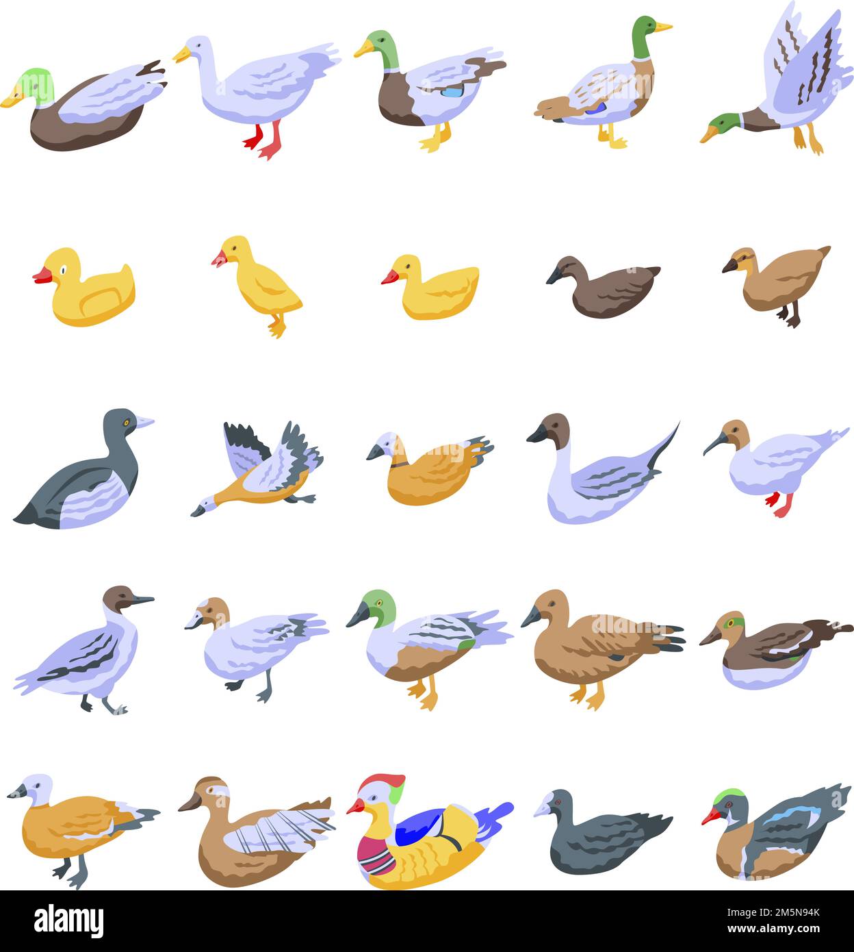 Canard water Stock Vector Images - Alamy