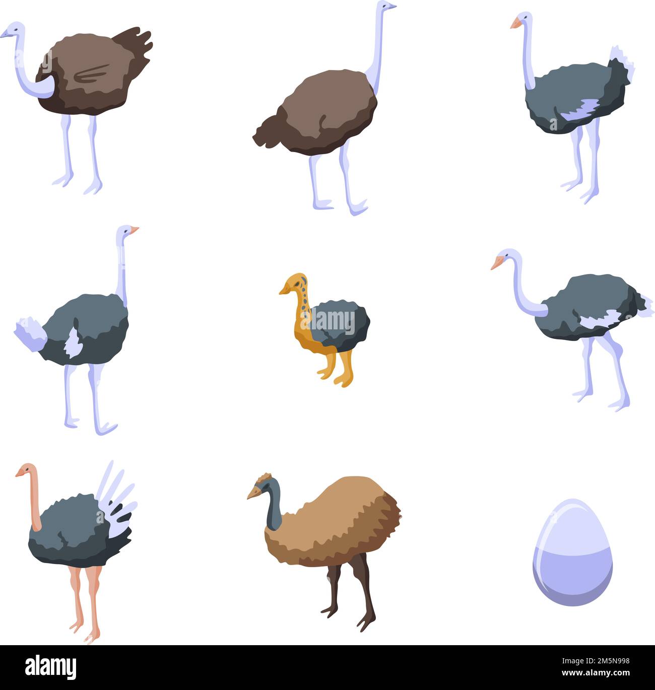 Ostrich icons set. Isometric set of ostrich vector icons for web design ...