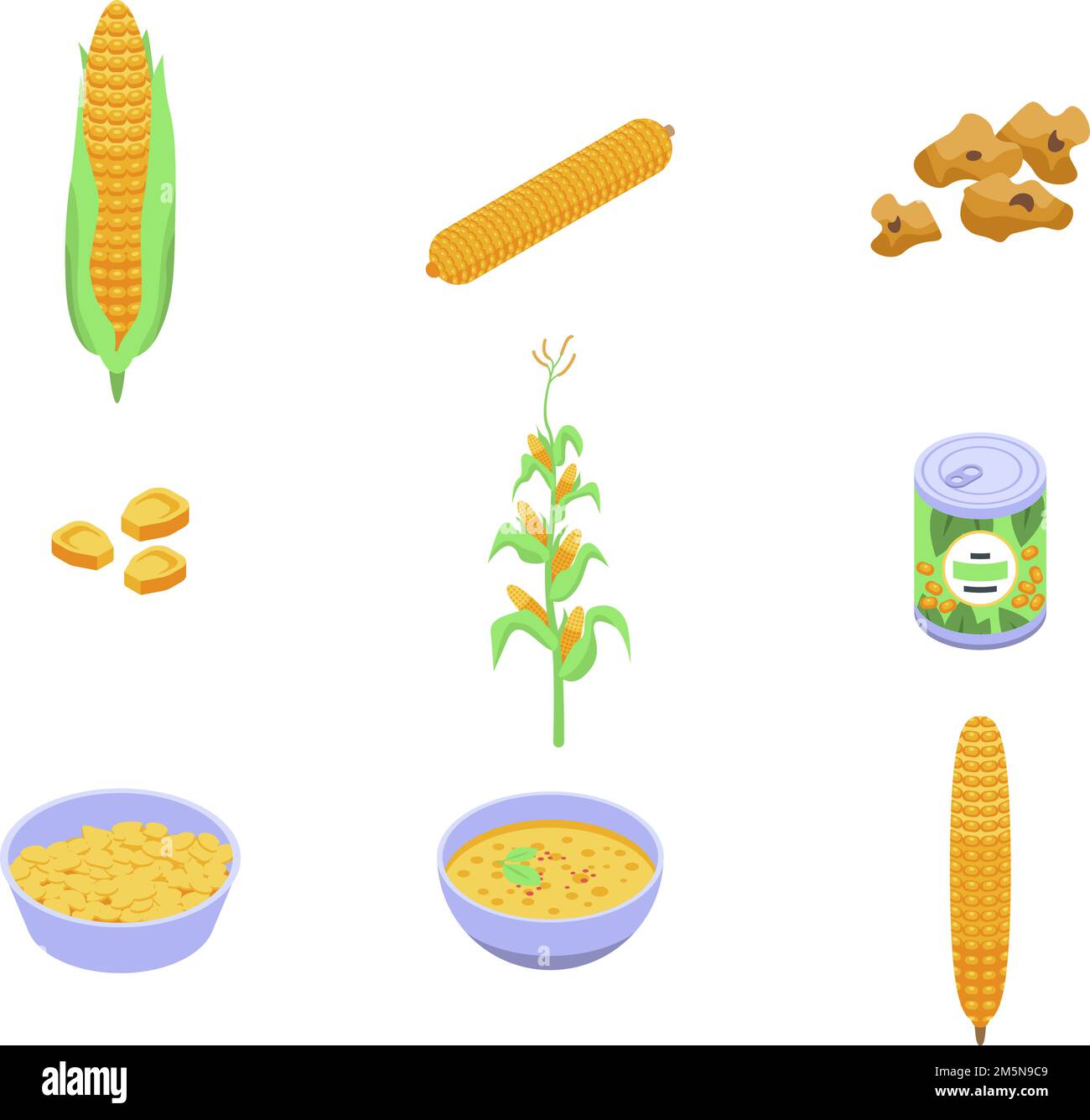 Corn icons set. Isometric set of corn vector icons for web design ...