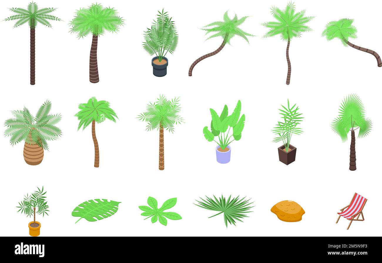Palm tree icons set. Isometric set of palm tree vector icons for web ...