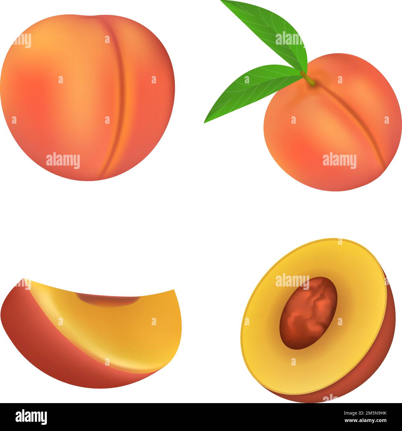 Peach icons set. Realistic set of peach vector icons for web design ...