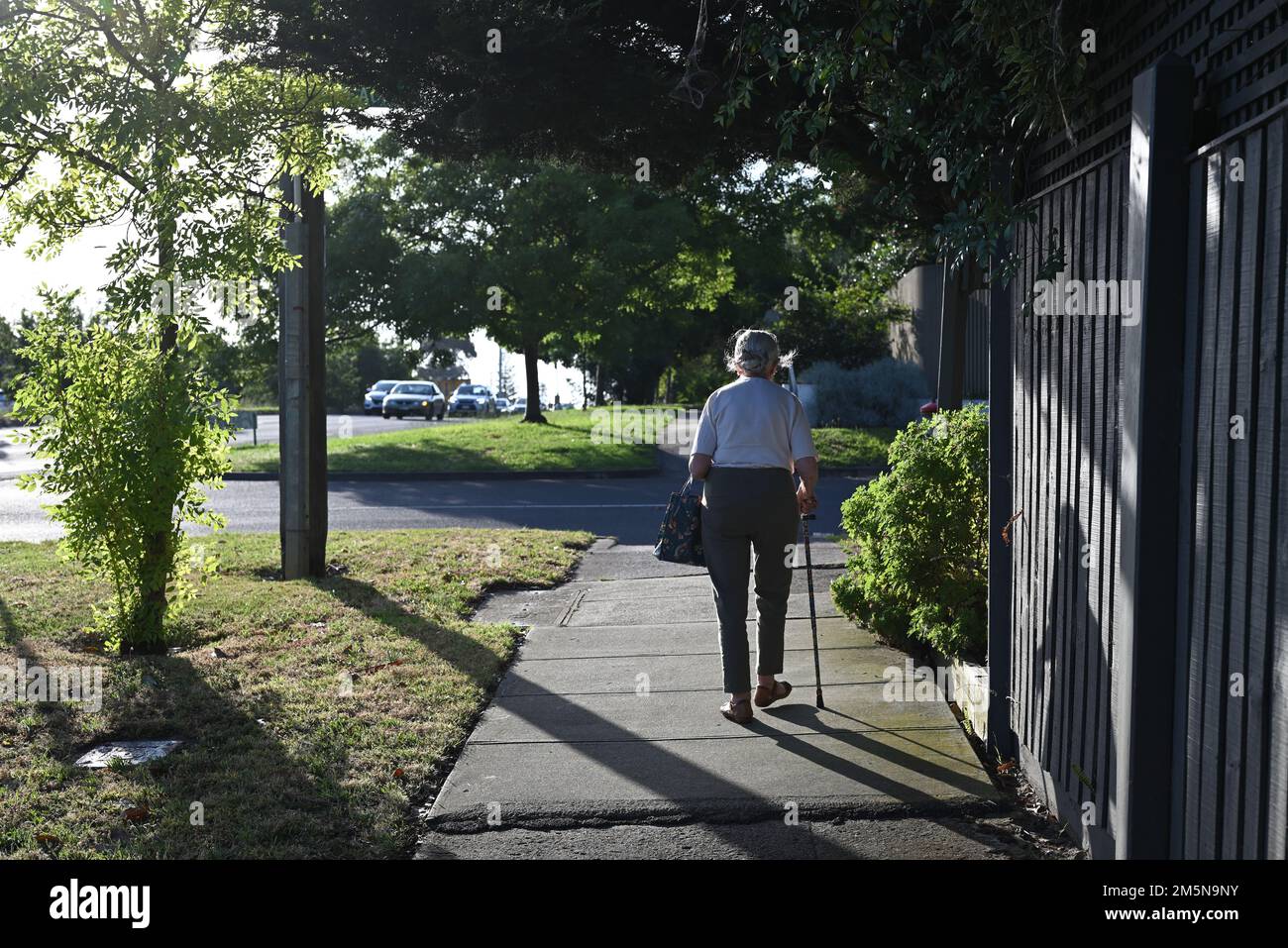 Rear view of an elderly woman, with silver hair, walking up a steep and ...