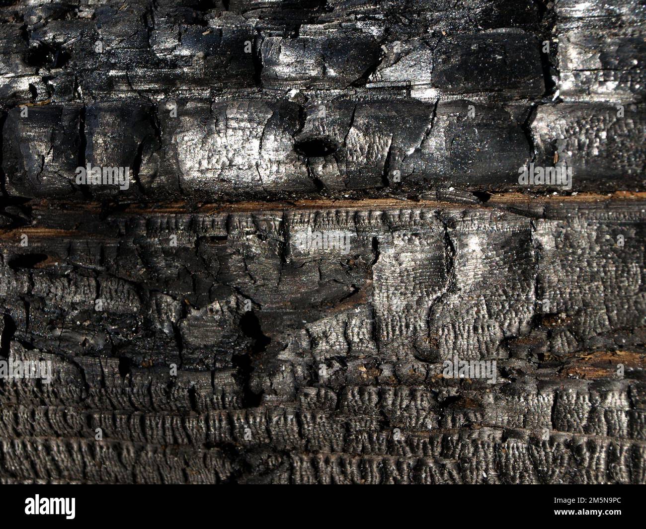 abstract picture with burnt wood texture, large wooden log Stock Photo ...