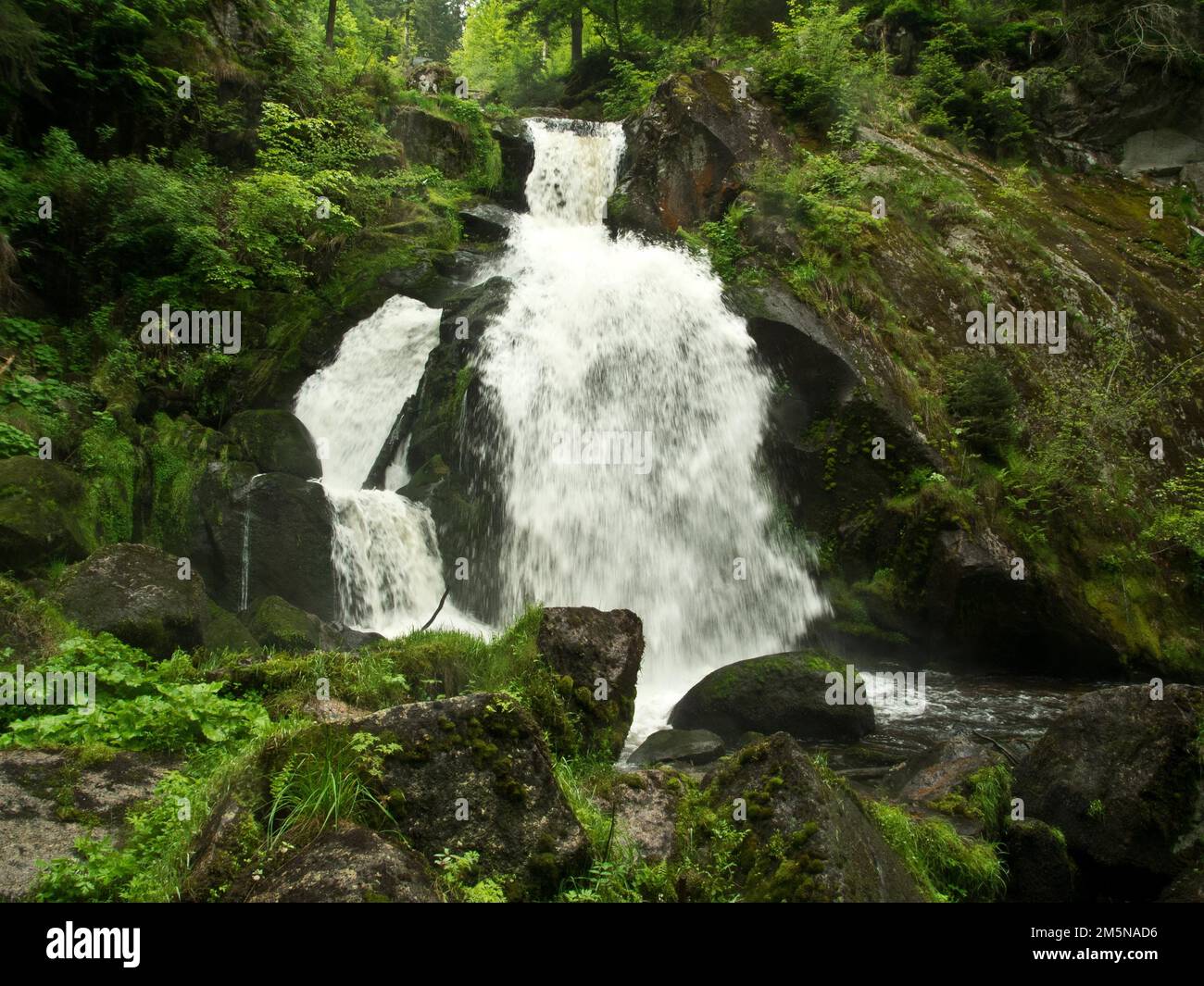 Lower main stage of the Triberg waterfalls, granite steps, landscape ...