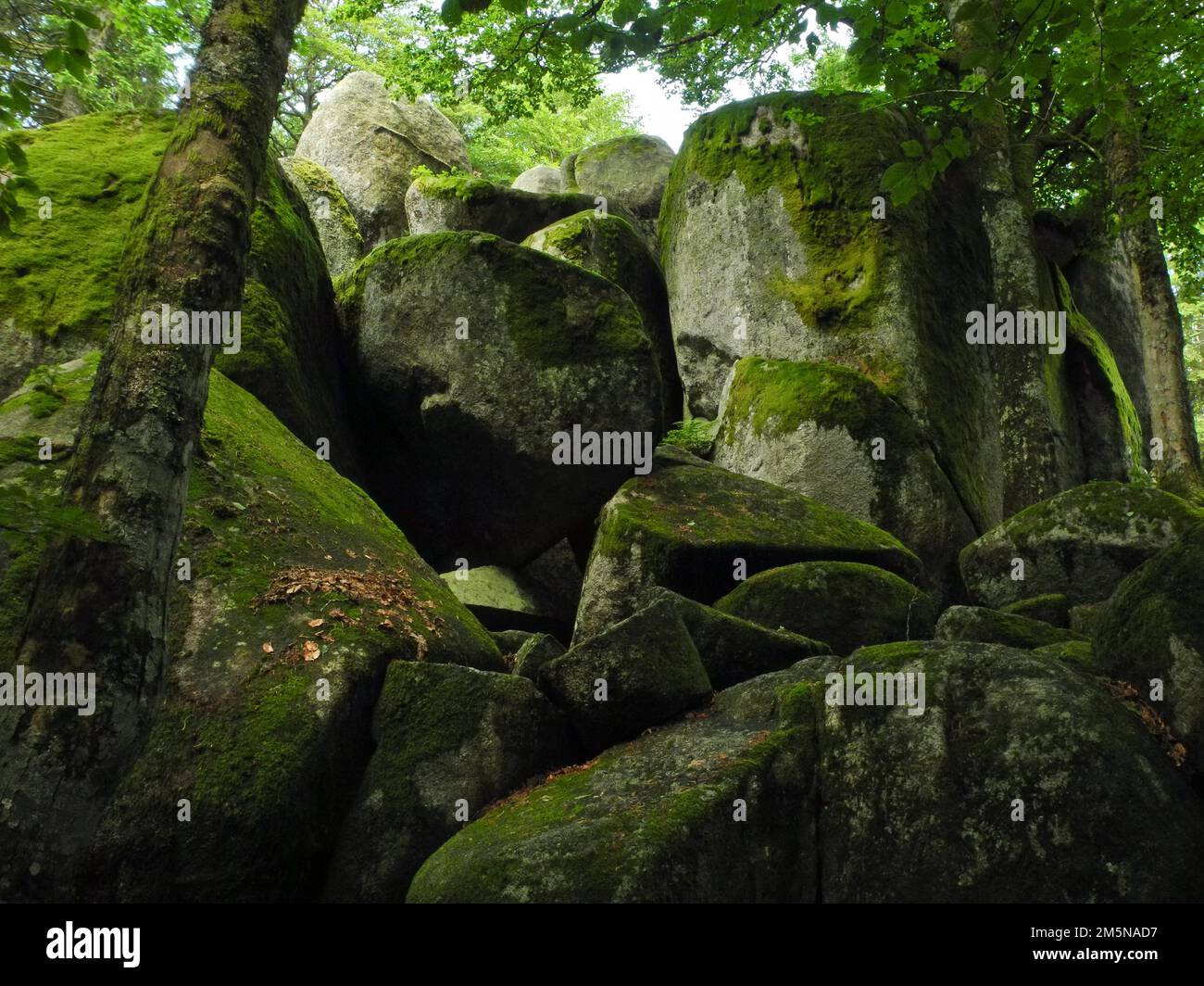 Guenterfelsen, Wollsack weathering, granite rock, nature reserve ...