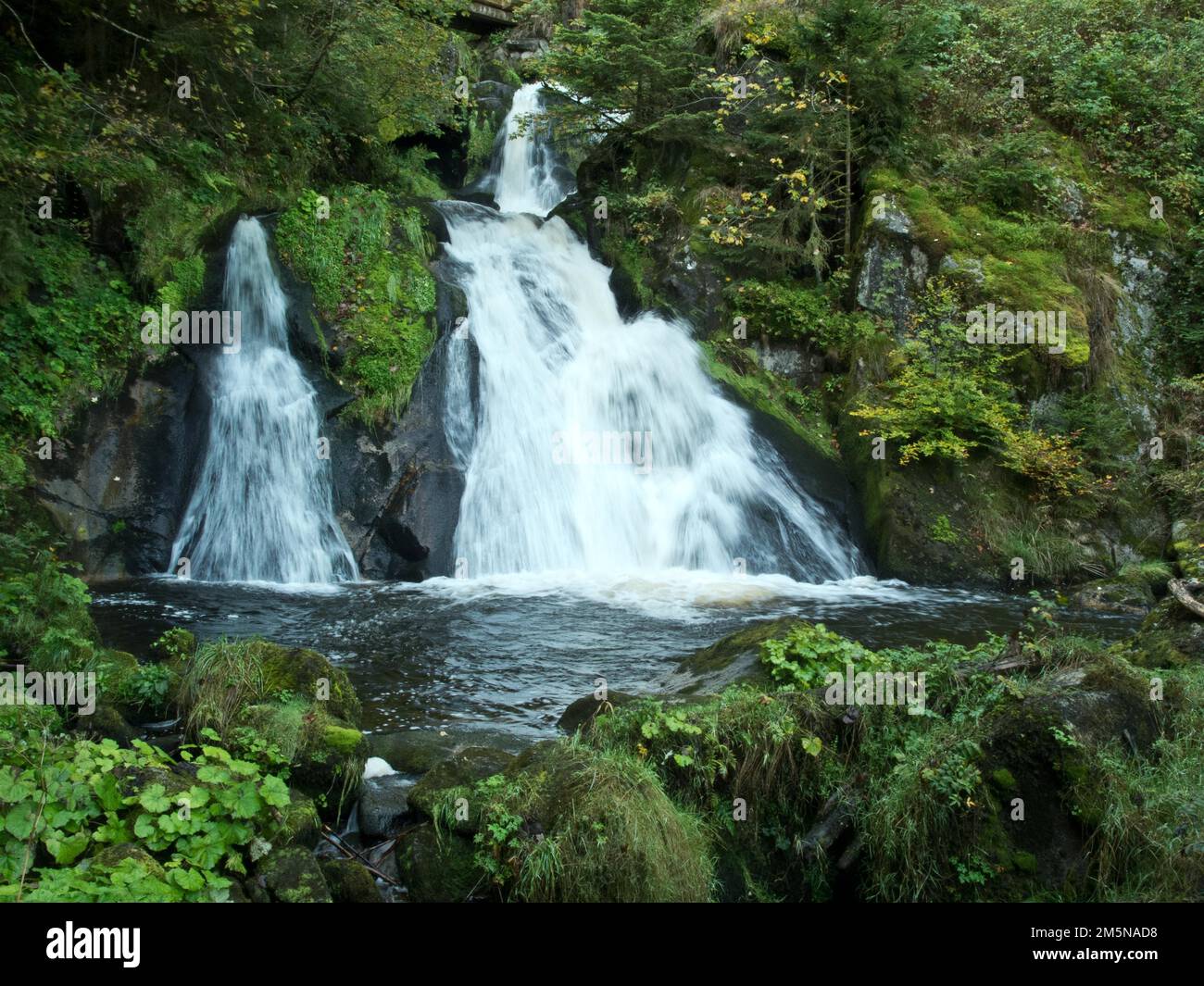Third main stage of the Triberg waterfalls, granite steps, landscape ...