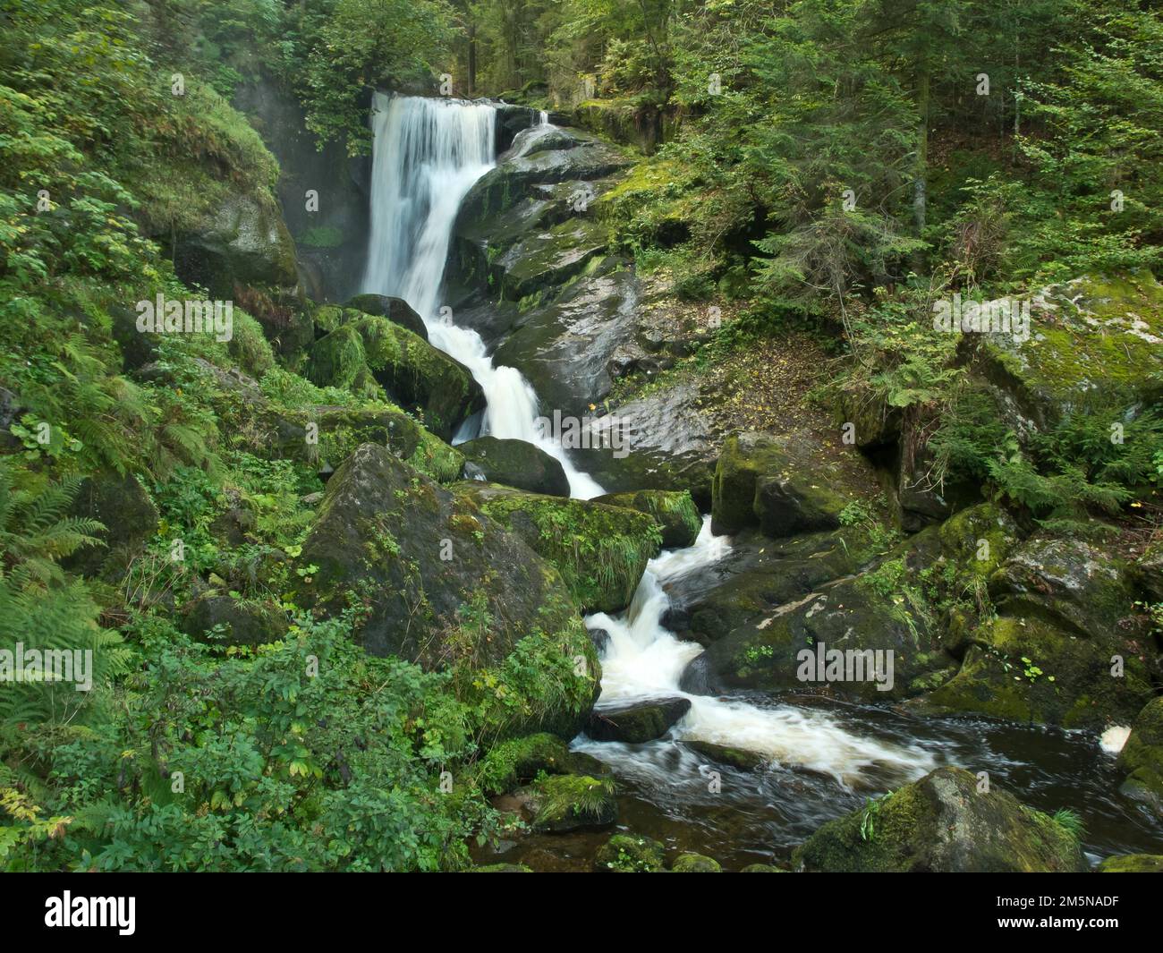 First main stage of the Triberg waterfalls, granite steps, landscape ...