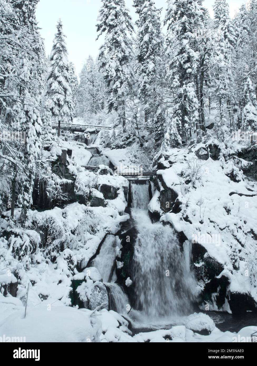 The lower four of the seven steps of the main falls of the Triberg ...